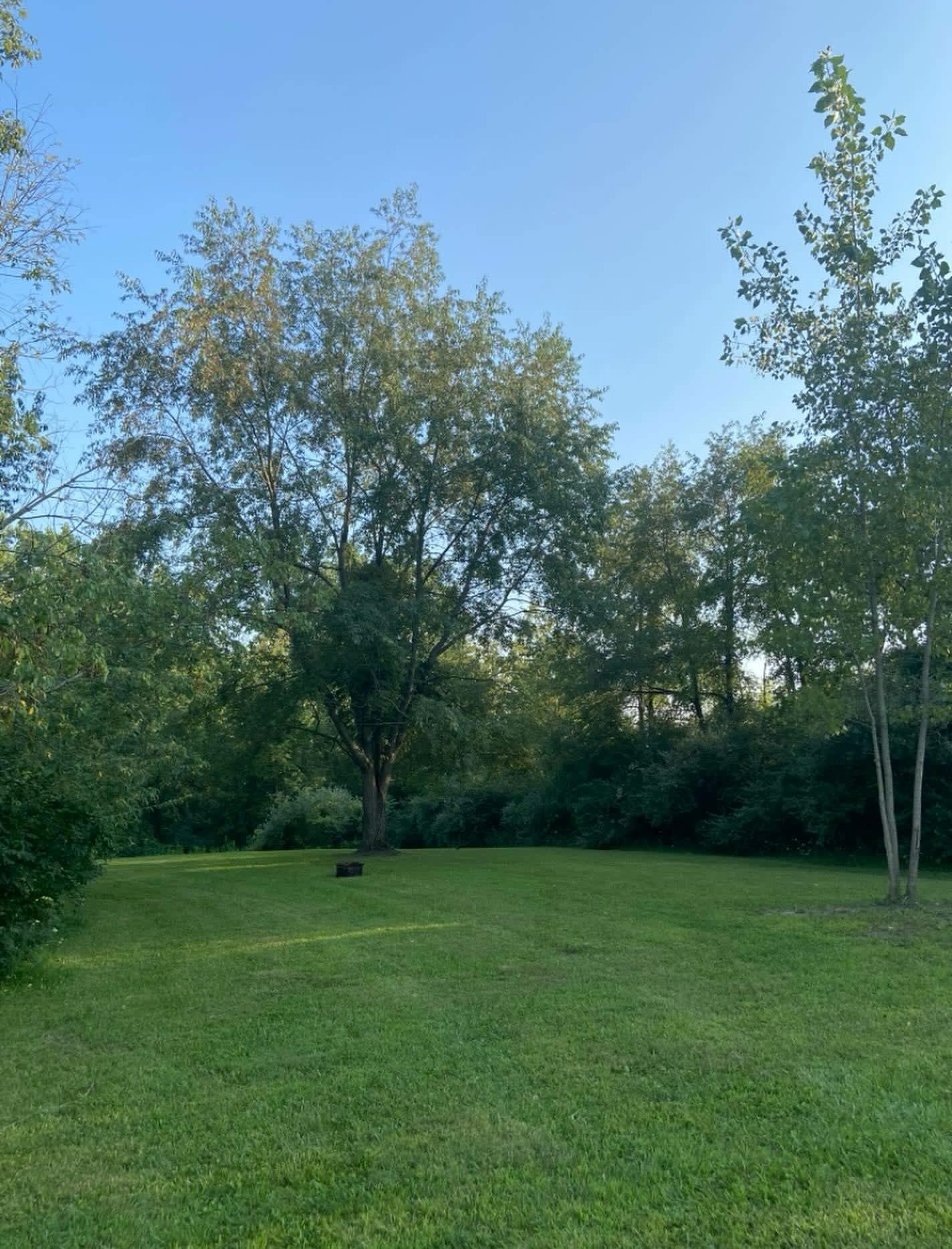 Check Availability and Reserve The Hillside Hideout - Camping.com