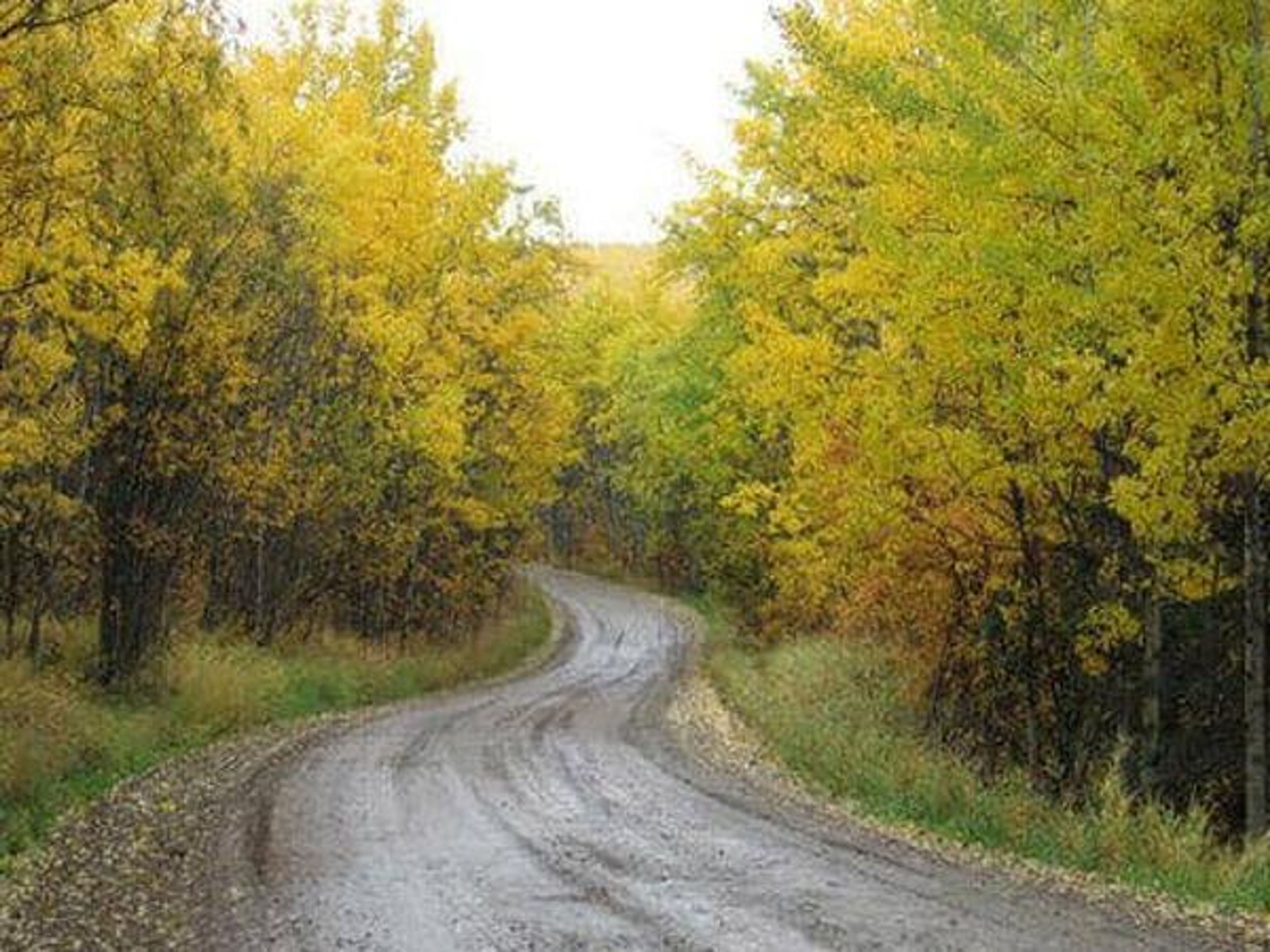 Check Availability and Reserve Pipestone Creek Campground- Camping.com
