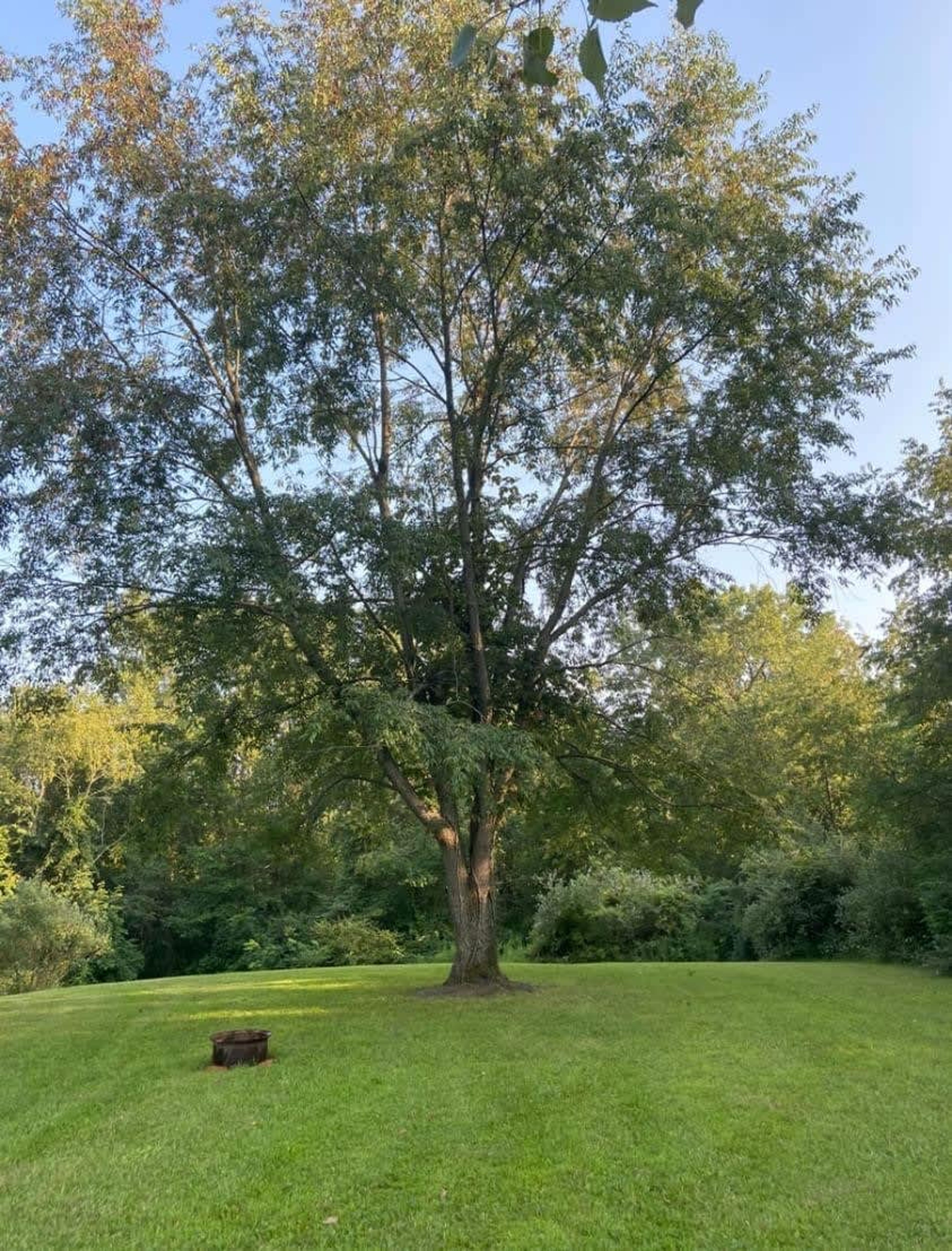 Check Availability and Reserve The Hillside Hideout - Camping.com