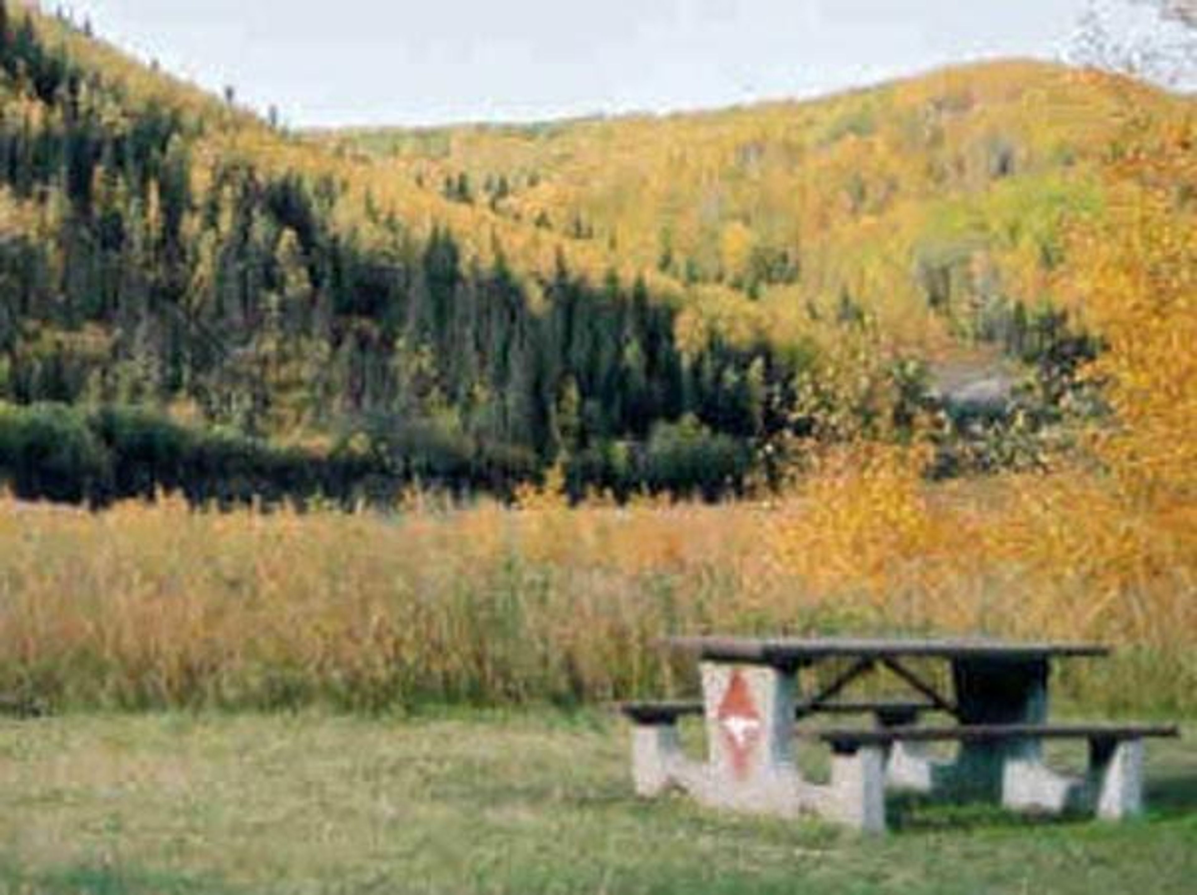 Check Availability and Reserve Pipestone Creek Campground- Camping.com