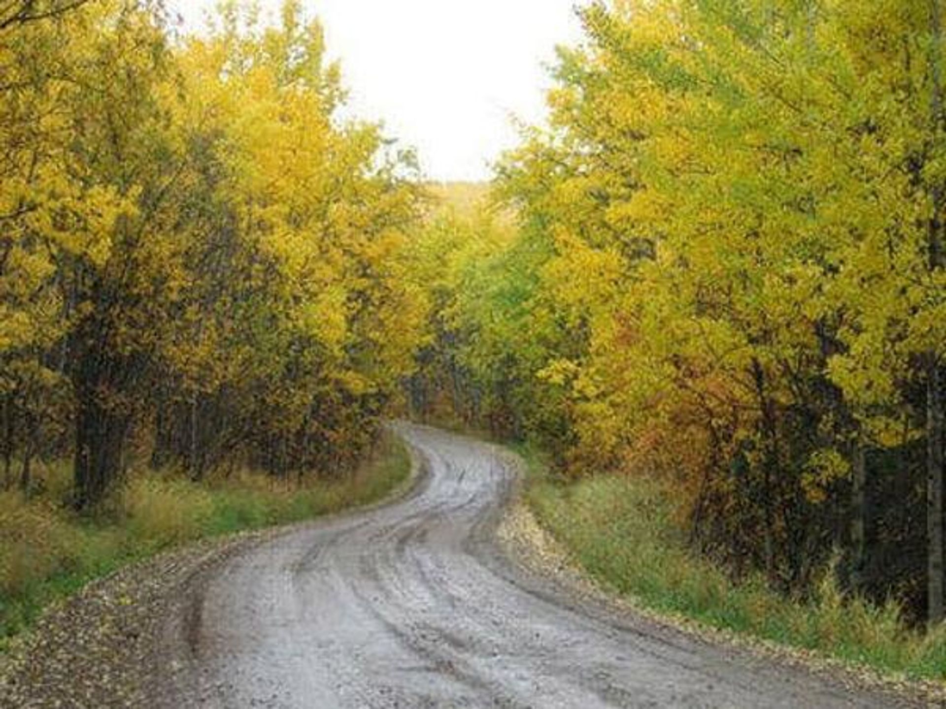 Check Availability and Reserve Pipestone Creek Campground- Camping.com