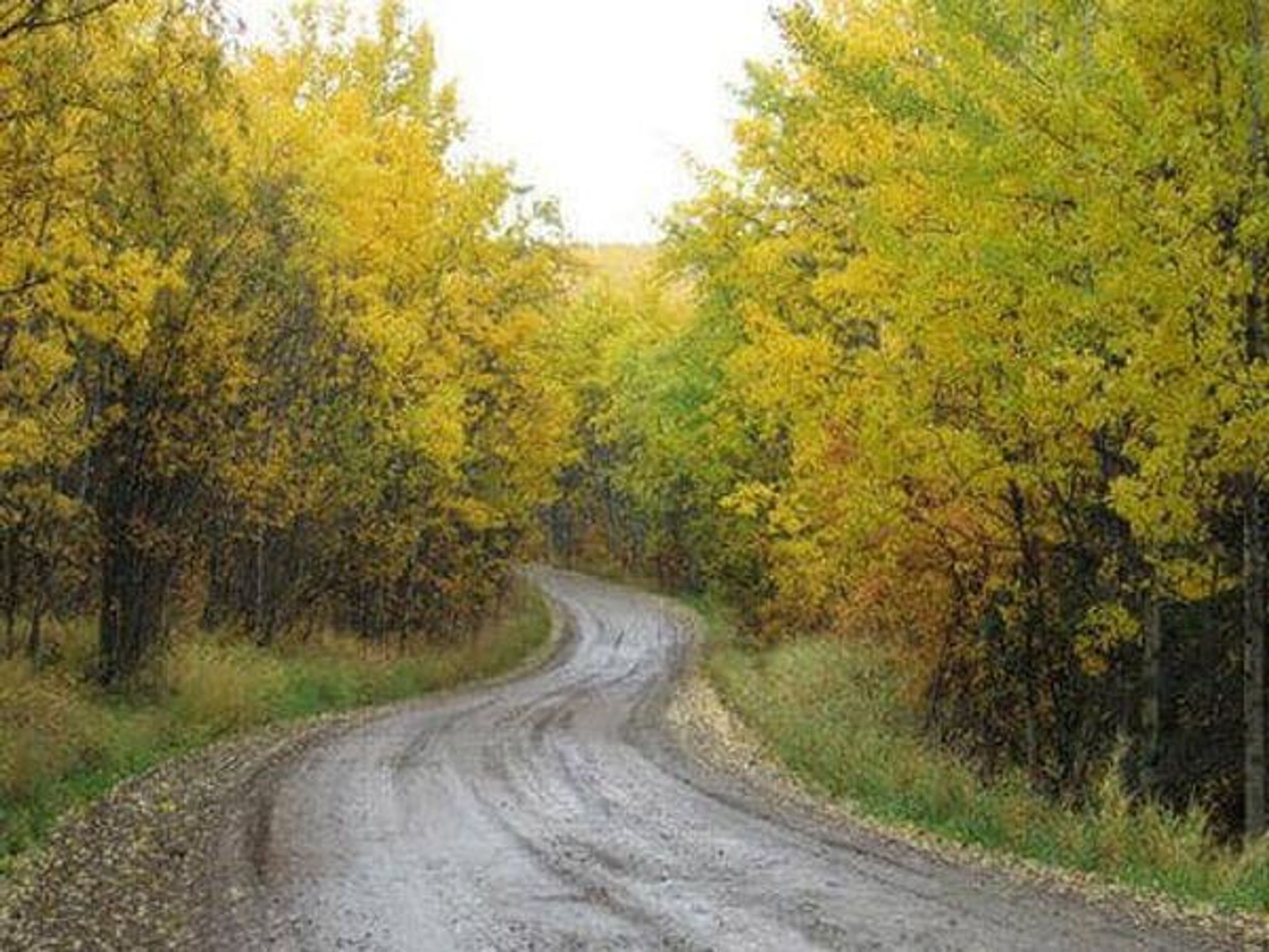 Check Availability and Reserve Pipestone Creek Campground- Camping.com